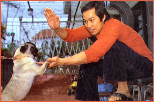 Jason Pai Piao. - Martial Arts Movie Actors & Actresses - Kung Fu Fandom